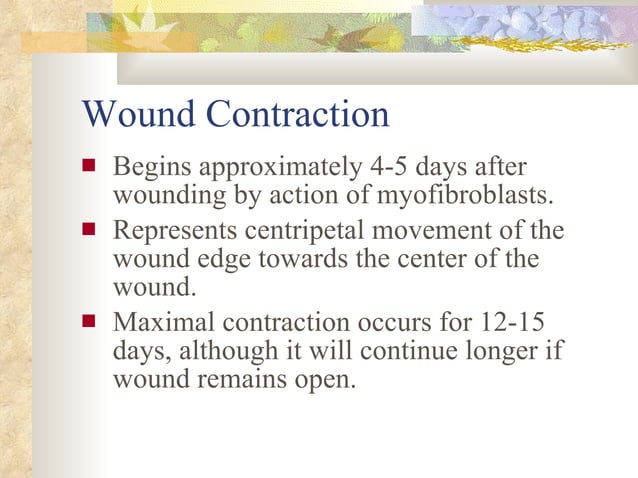 Wound Healing & Wound Care | PPT