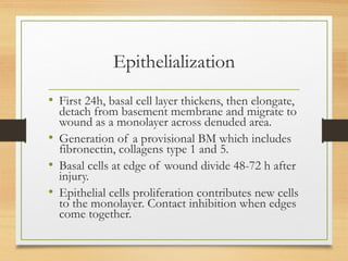 Wound healing and sterilization for MBBS students | PPT