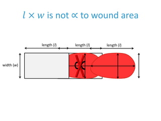 Wound imaging and measurement for clinical research and clinical ...