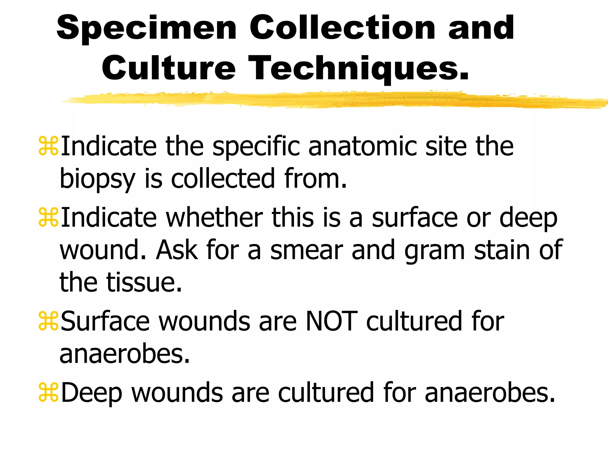 wound infection microbiology.PPT