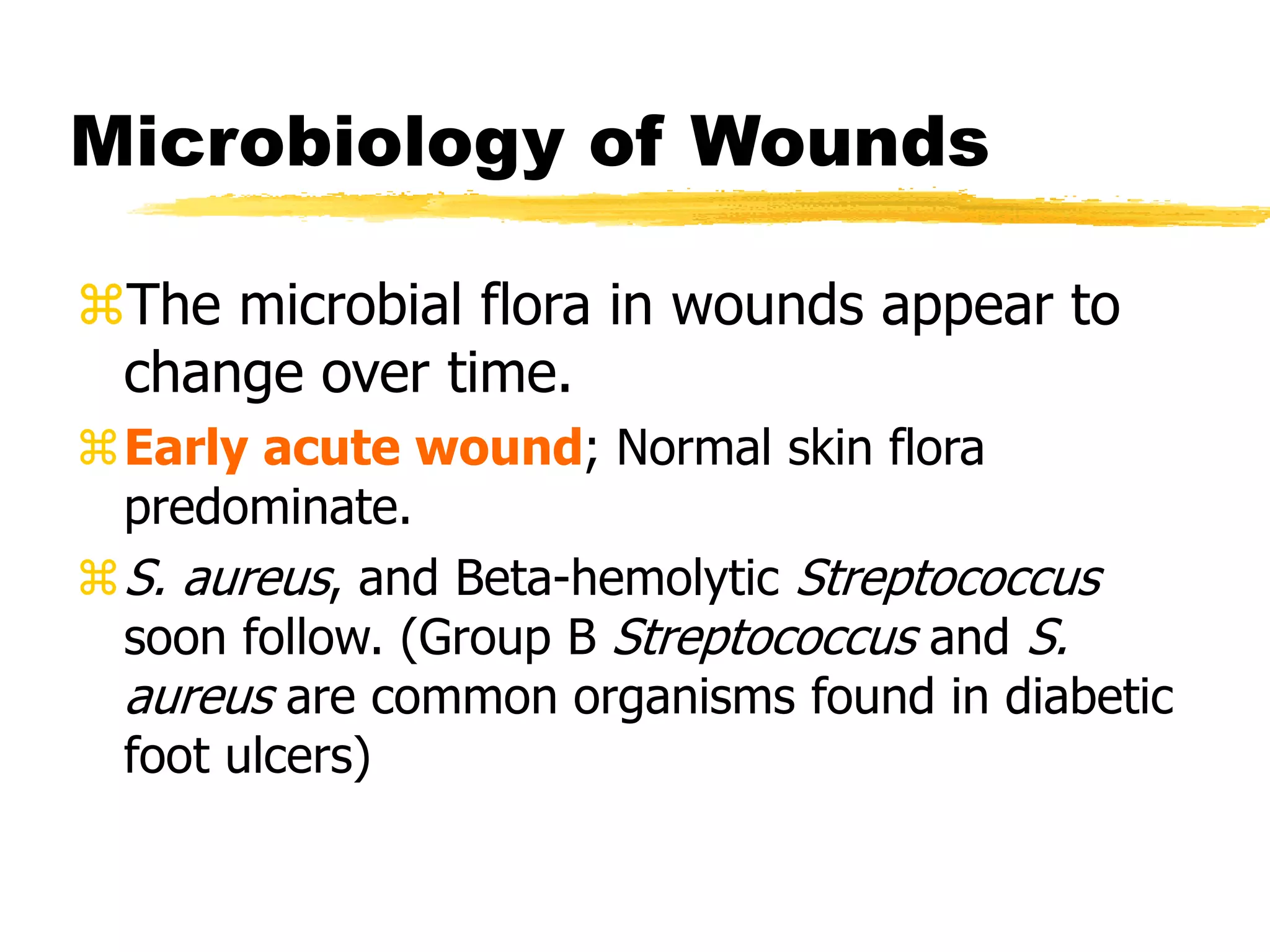 wound infection microbiology.PPT