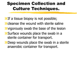 wound infection microbiology.PPT
