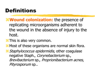 wound infection microbiology.PPT