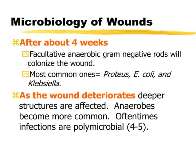 wound infection microbiology.PPT