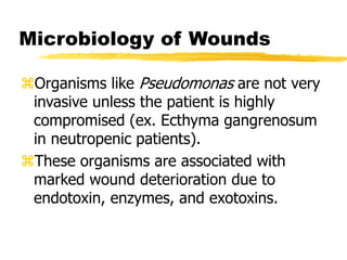 wound infection microbiology.PPT