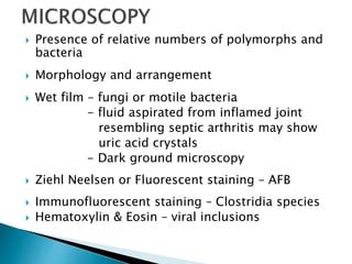 Wound infections | PPTX