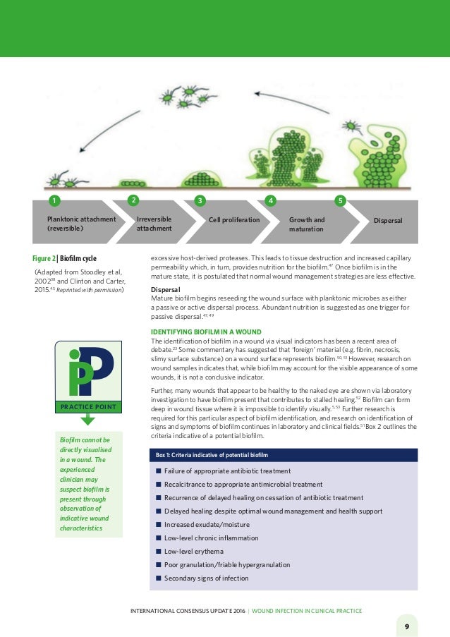 Wound infection wounds