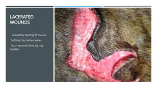 Wound & its management.pptx