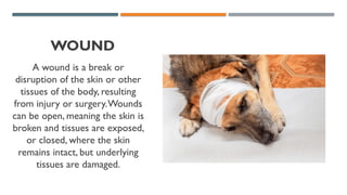 Wound its types-1.pptx small animal surgery topic for dvm students | PPTX