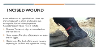 Wound its types-1.pptx small animal surgery topic for dvm students | PPTX