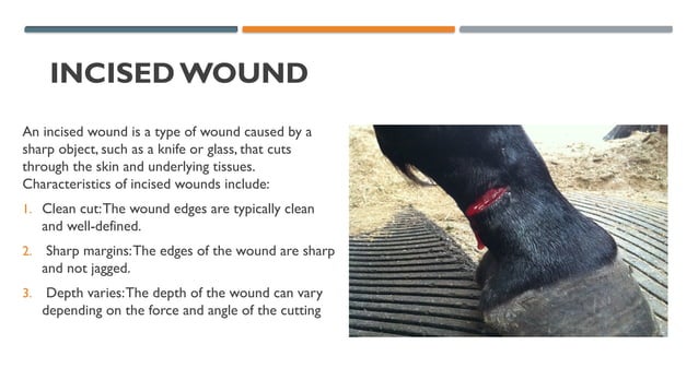 Wound its types-1.pptx small animal surgery topic for dvm students | PPTX