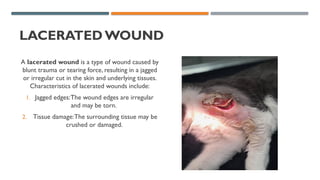 Wound its types-1.pptx small animal surgery topic for dvm students | PPTX