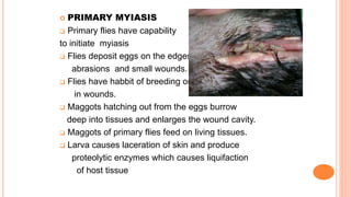 Wound management | PPTX