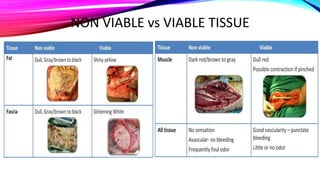 Wound management | PPTX | Death, Injury, or Military Conflict ...