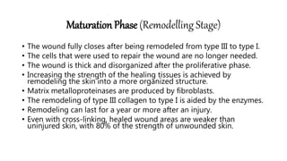 WOUND MANAGEMENT.pptx