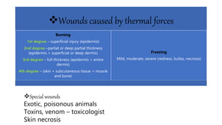WOUND MANAGEMENT.pptx