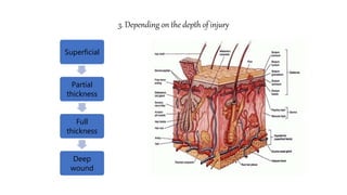 WOUND MANAGEMENT.pptx
