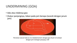 Wound Management.pptx