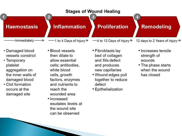 WOUND MANAGEMENT & DRESSING.pptx wound management | PPTX | First Aid ...