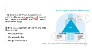 Wound Management in Domiciliary Palliative Care | PPTX