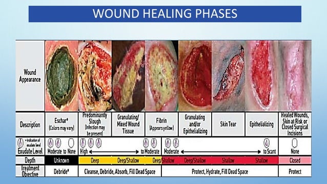 WOUND MANAGEMENT m.pdf