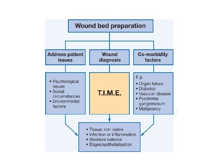 Woundontology Consortium