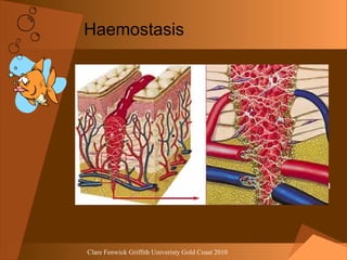 Wound physiology cf | PPT