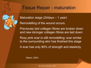 Wound physiology cf for pp | PPT