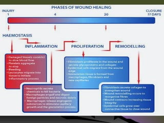 Wound ppt | PPT