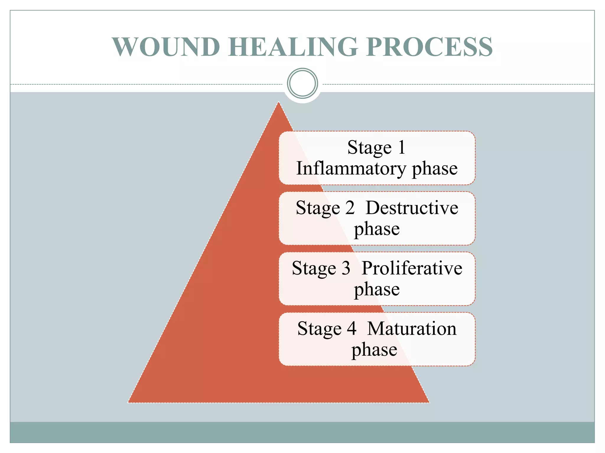 Wound ppt | PPTX | First Aid | Injuries