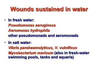 Wounds | PPT