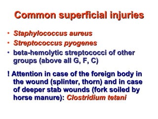 Wounds | PPT