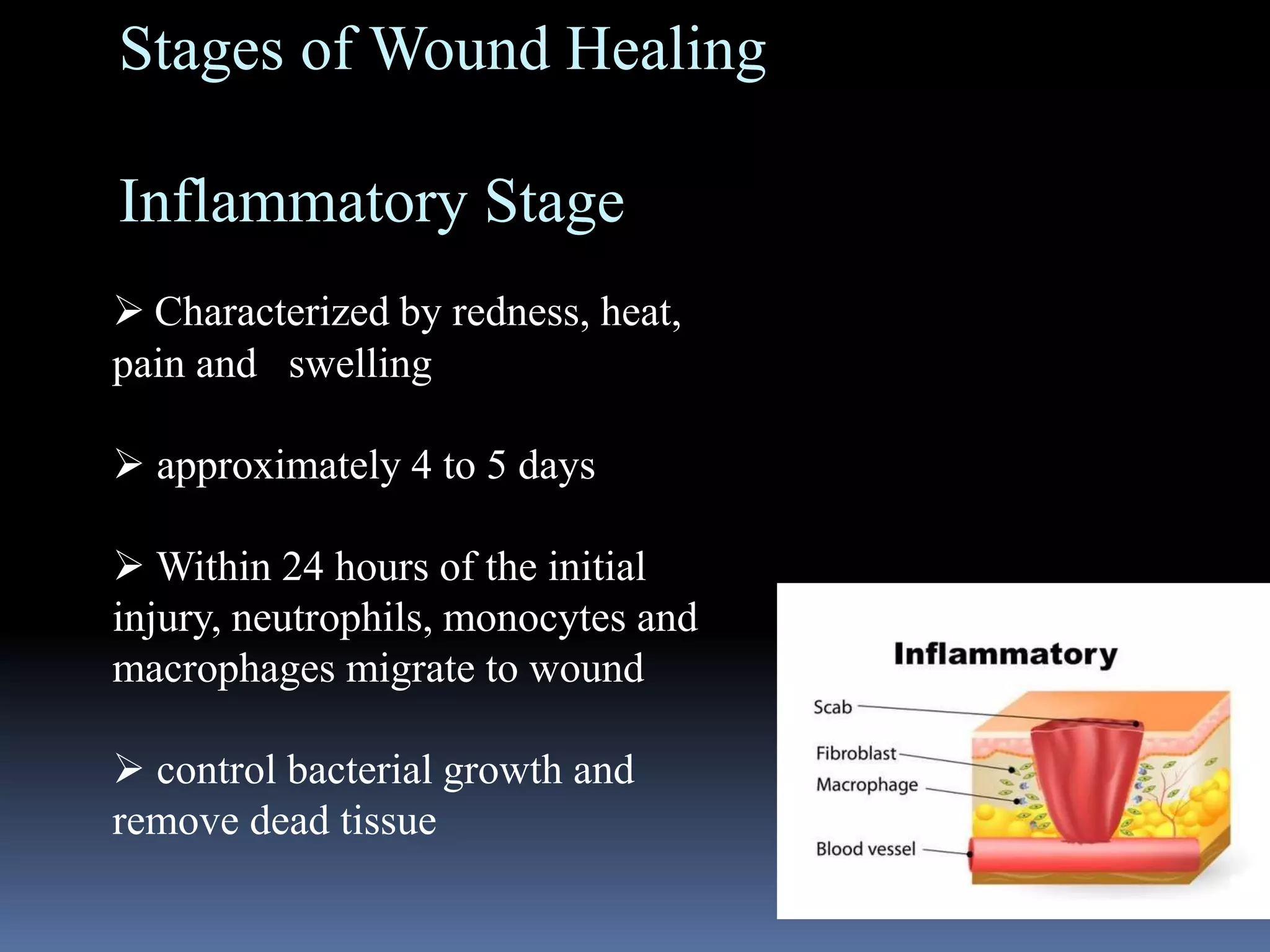 Wounds | PPTX
