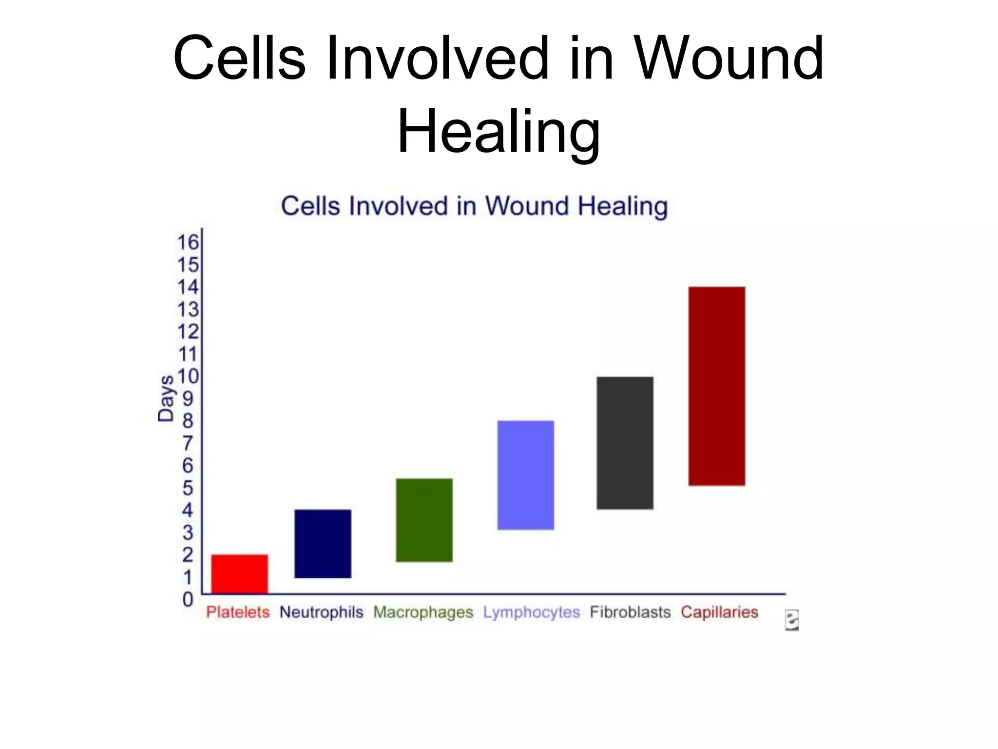 Wounds | PPT