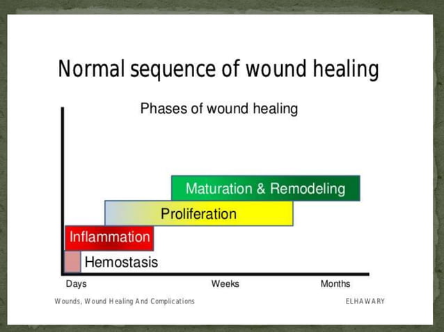 Wounds | PPTX
