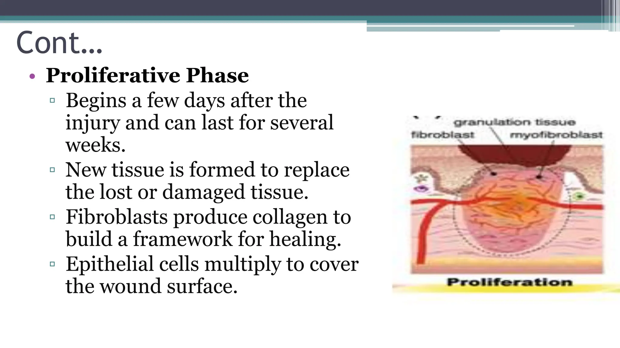 WOUNDS, wound healing process types of wounds.pptx | Death, Injury, or ...