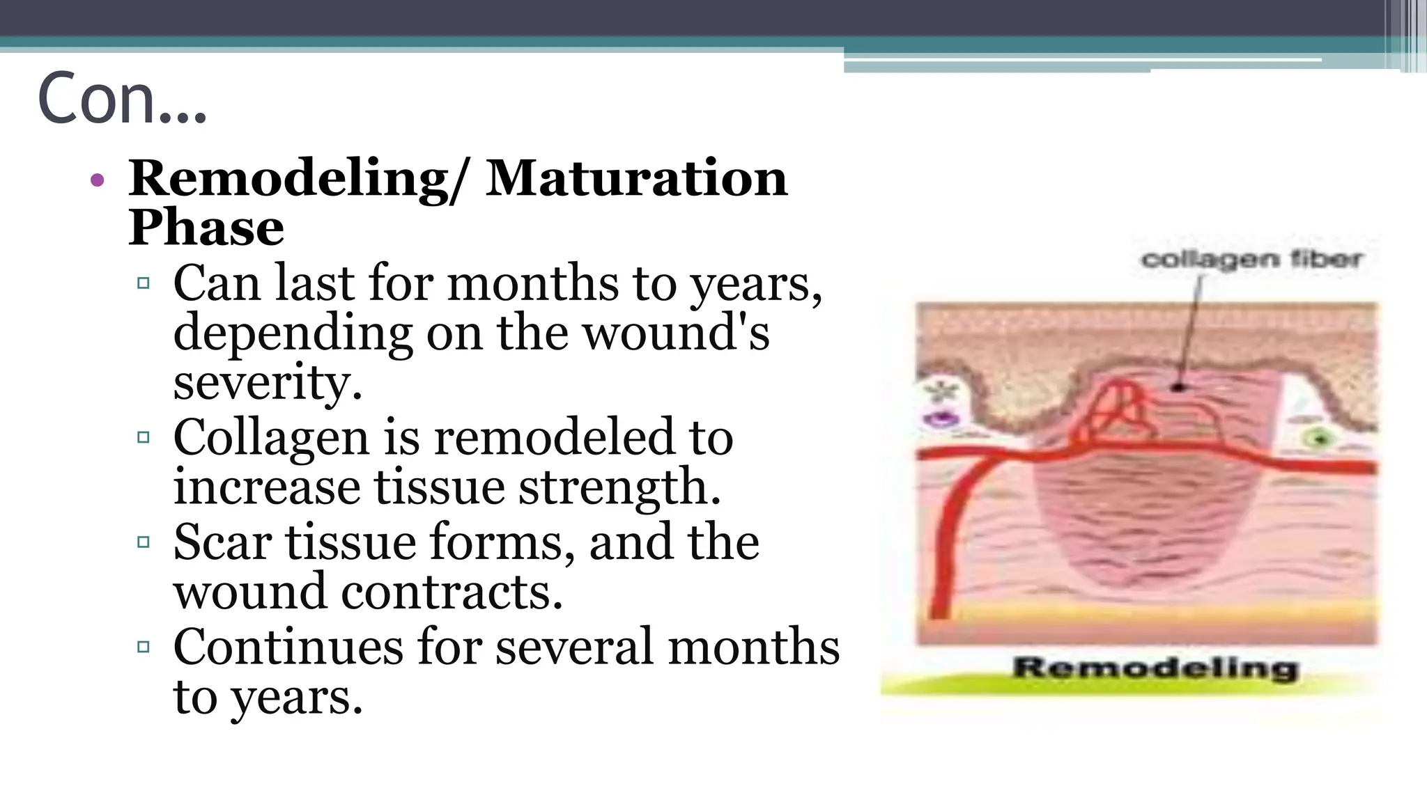 WOUNDS, wound healing process types of wounds.pptx | Death, Injury, or ...