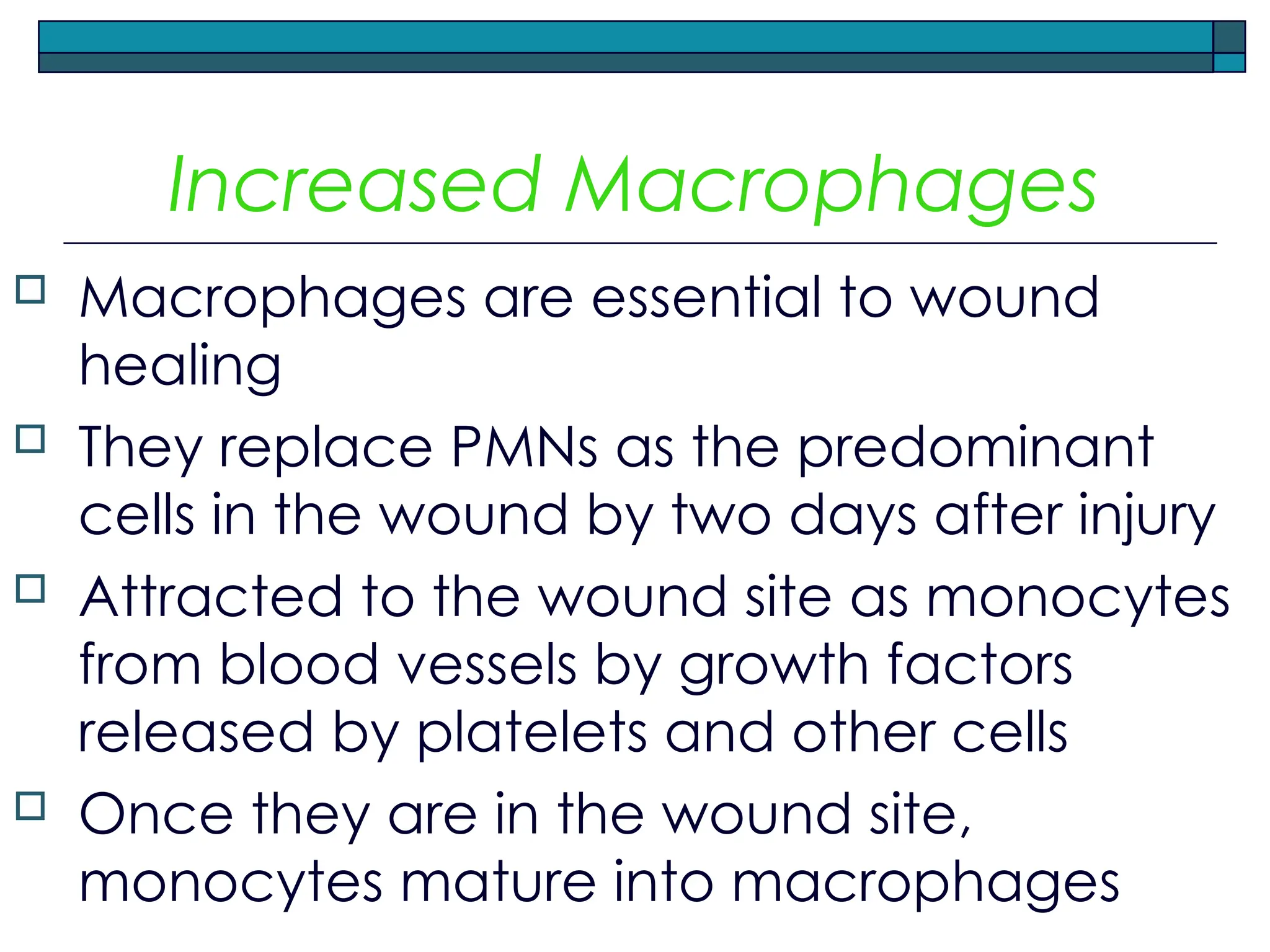 STEPWISE APPROACH TO CLINICAL SURGERY: WOUNDS | PPT