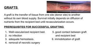 Comprehensive Overview of Wound Types, Healing Processes, and Closure ...