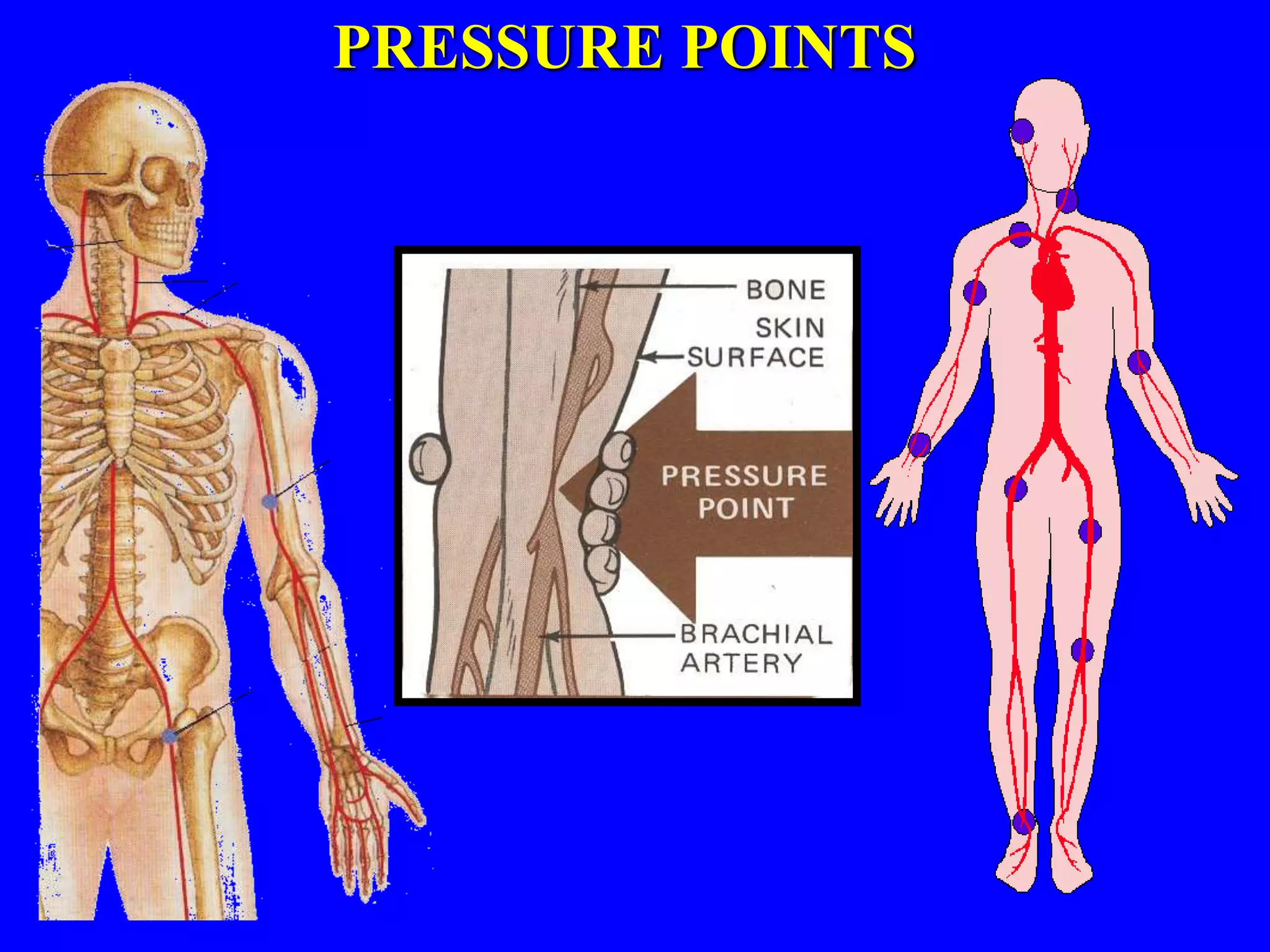 First Aid for Wounds | PPT