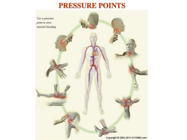 Pressure Points To Stop Bleeding