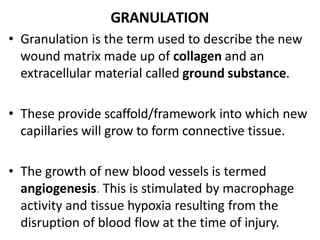 WOUNDS AND ULCERS-1.pptx