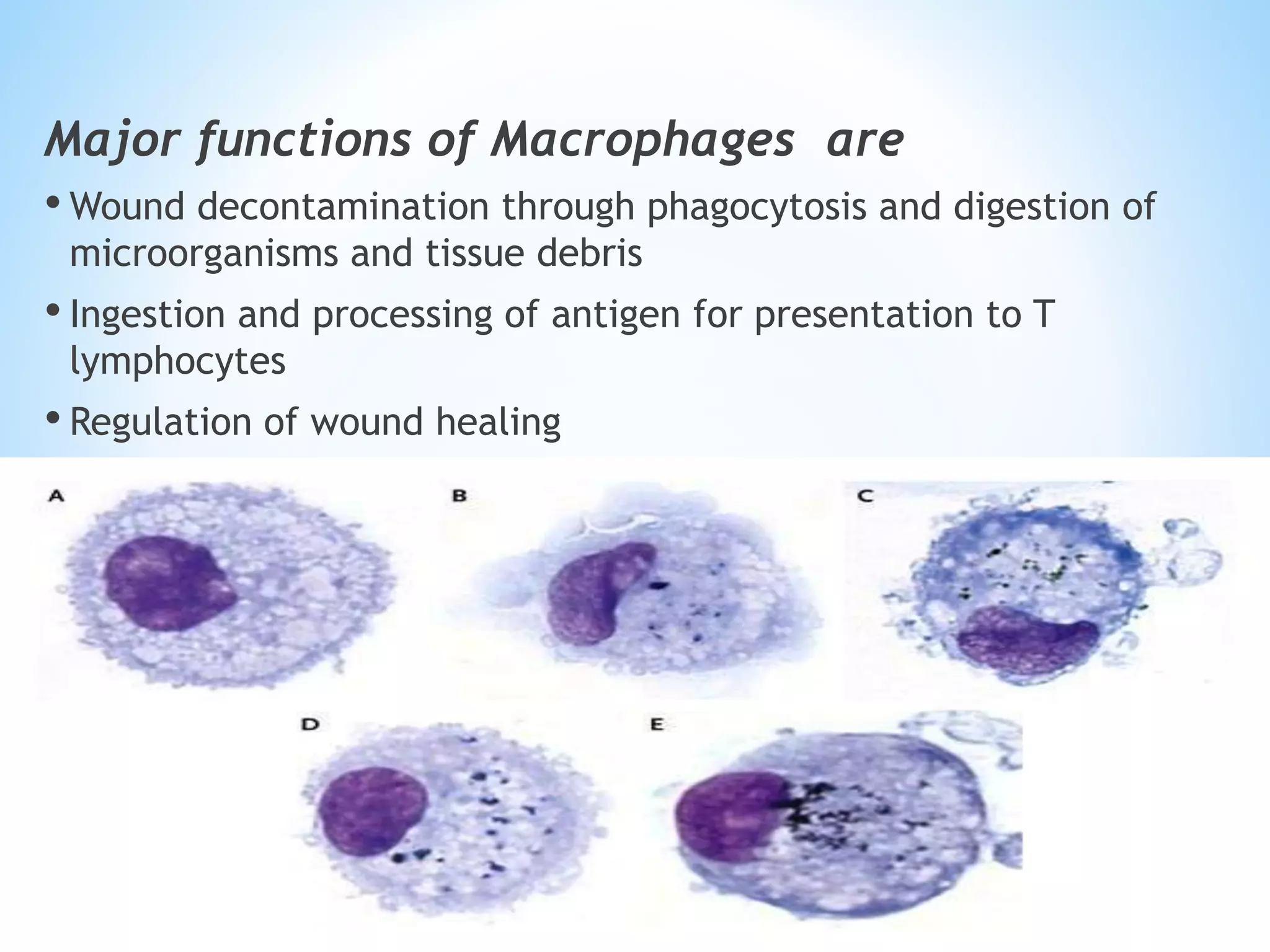 Wounds and wound healing | PPTX | First Aid | Injuries
