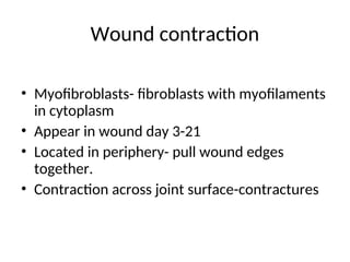 wounds and wound healing in children and adults.ppt