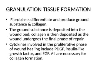 Universal WOUNDS aND wOUND HEALING (1).pptx