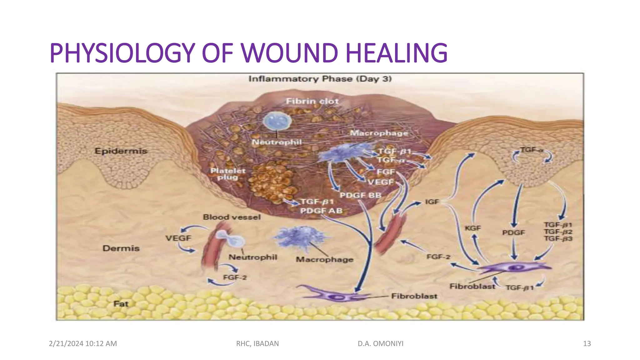 Psychological Wound Healing Methods – NRRBG