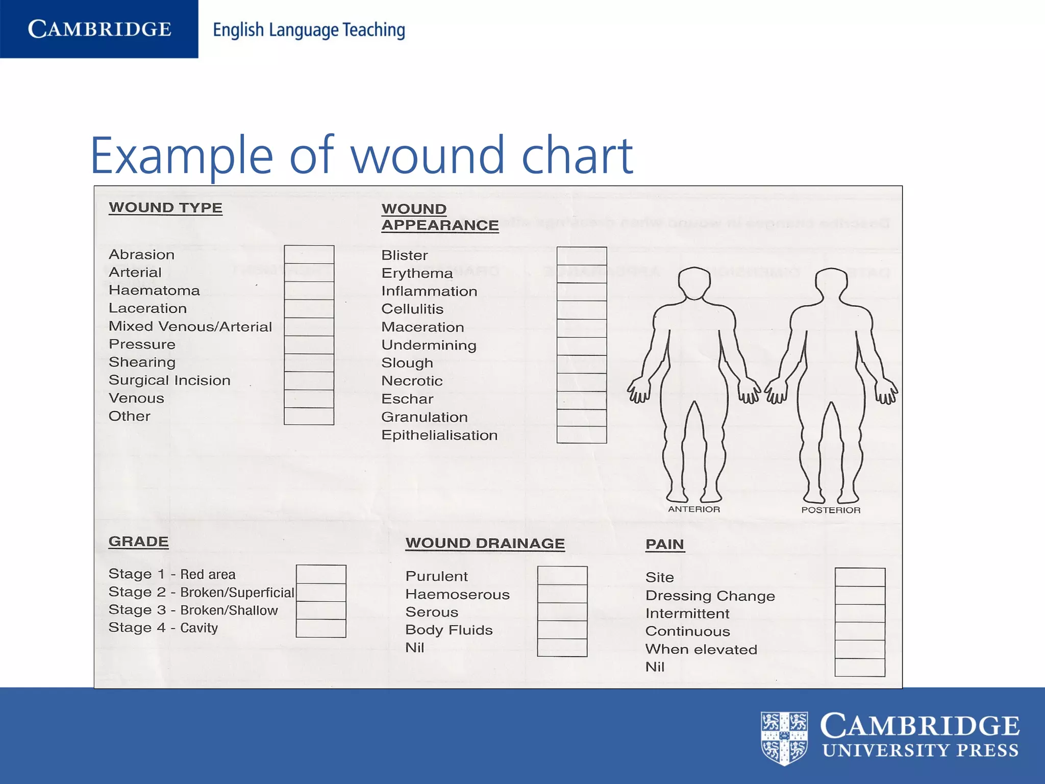 Wounds ,charts and medication | PPT