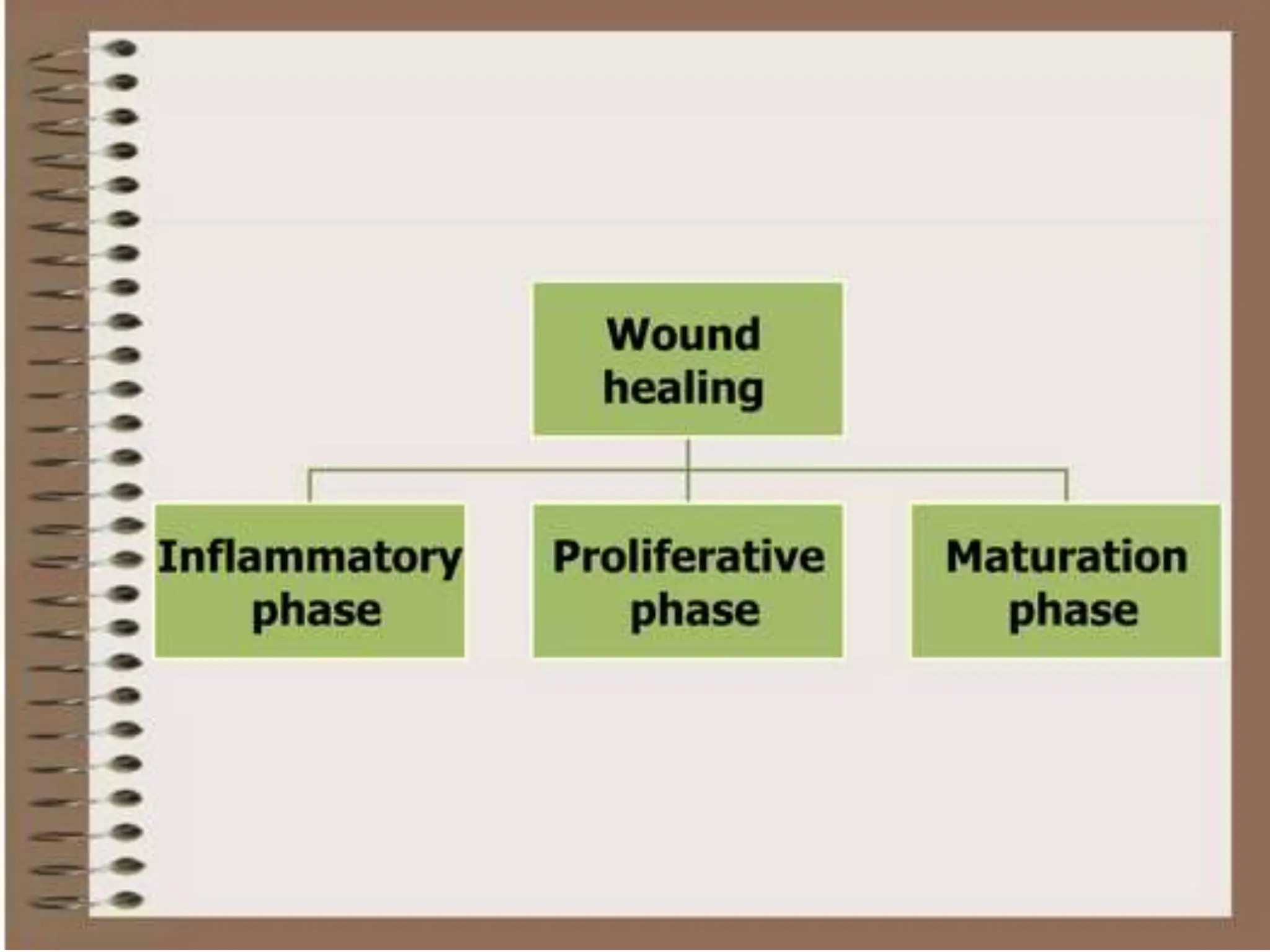 wounds, hemorrahge and shock.pptx for medical students | PPTX