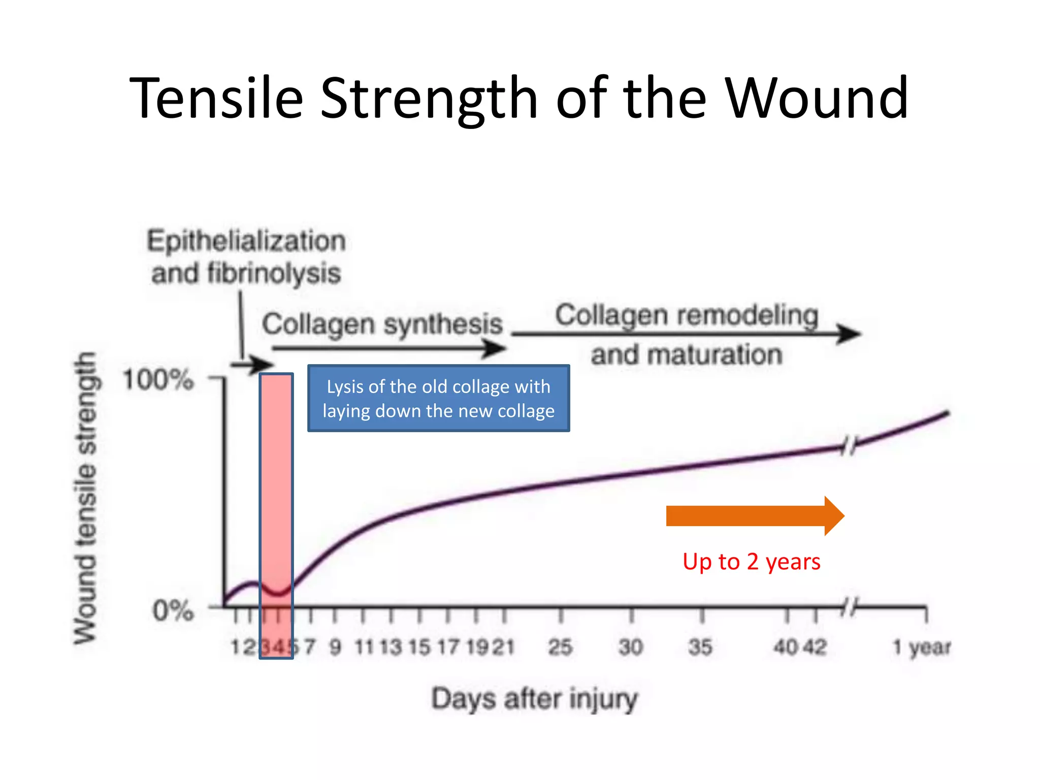 Wound & Stoma Management.pptx