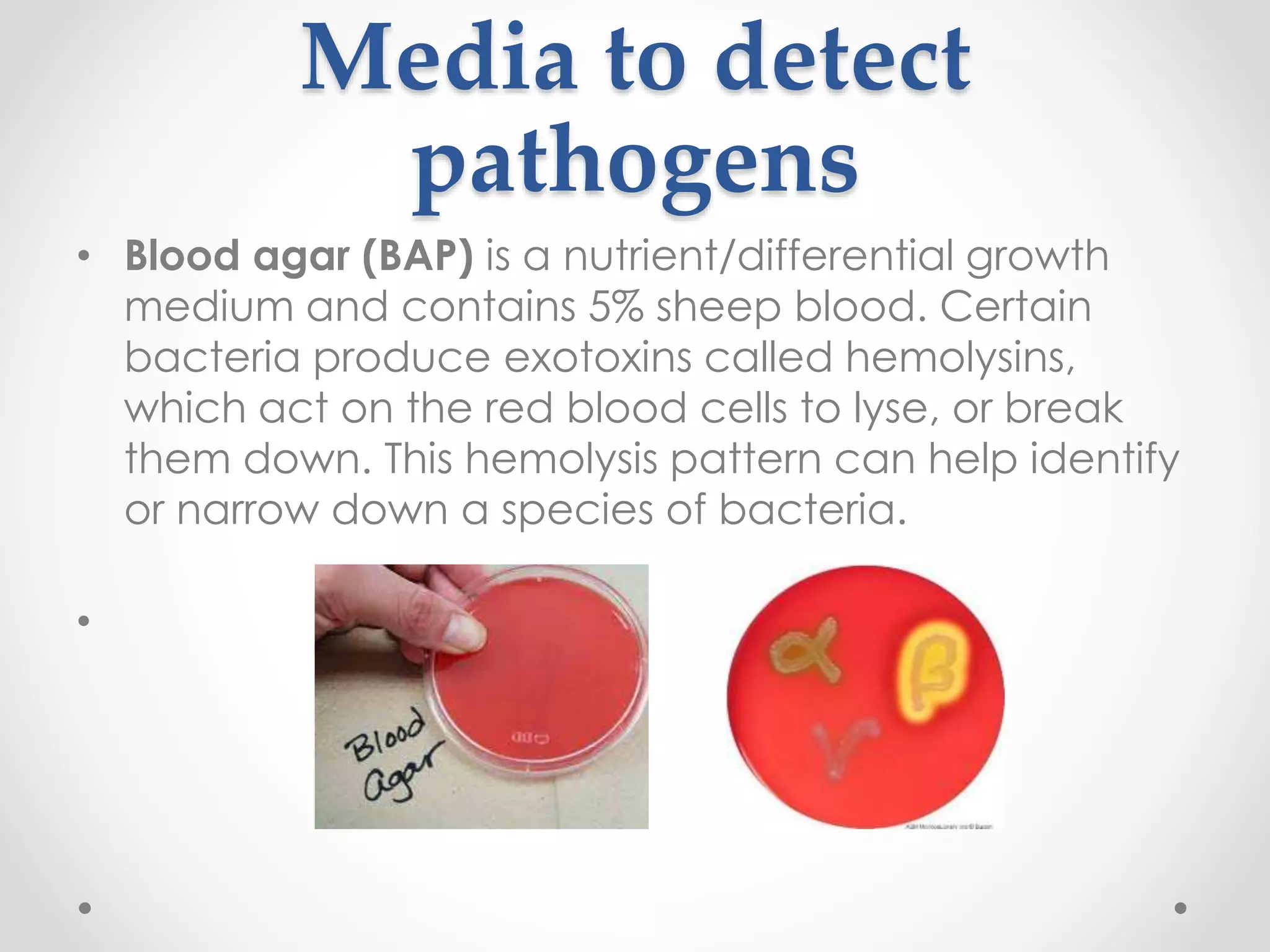 Clinical Microbiology | PPTX